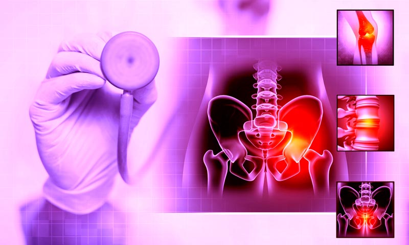 A Deep Dive into Collagen for Joints – So Body Co